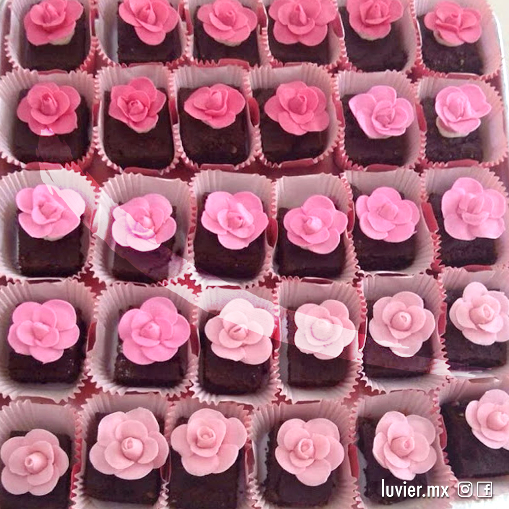 Postres Mini – Luvier Pastelería